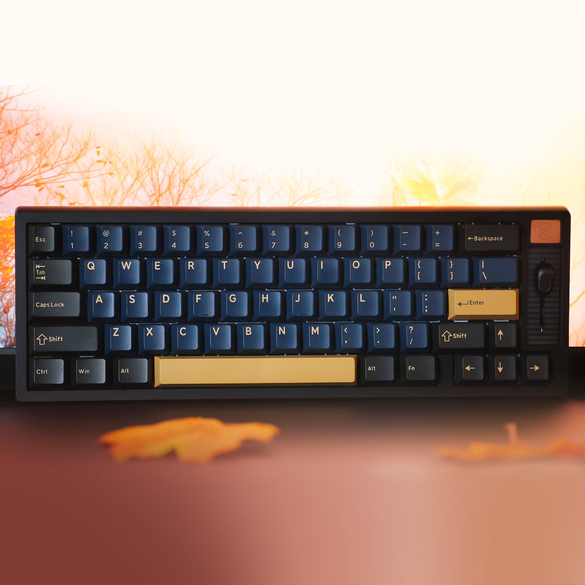 Chosfox x masro | Fox65 QMK/VIA Mechanical Keyboard Kit