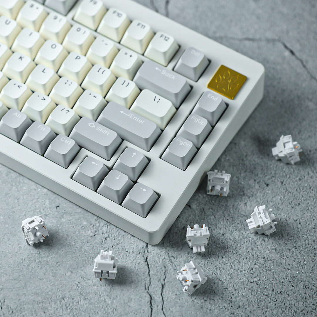 CF81 Pro® Custom Keyboard Kit – Craft Your Precision Typing Experience