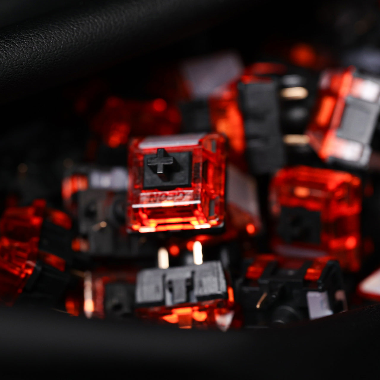 Geonworks Raptor Linear Switches