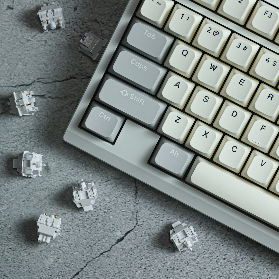 Leo80: 80% Prebuilt Keyboard-Hotswap, Badge, Brass Weight, TKL Layout